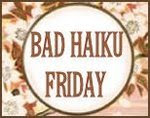 A Bit of the Blarney: Bad Haiku Friday
